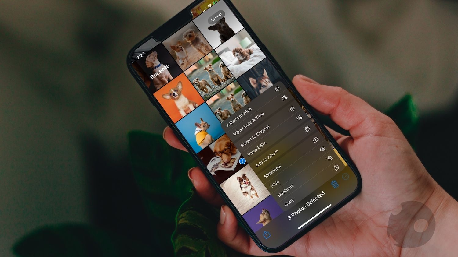 How to Batch Edit Photos on iPhone | appsntips