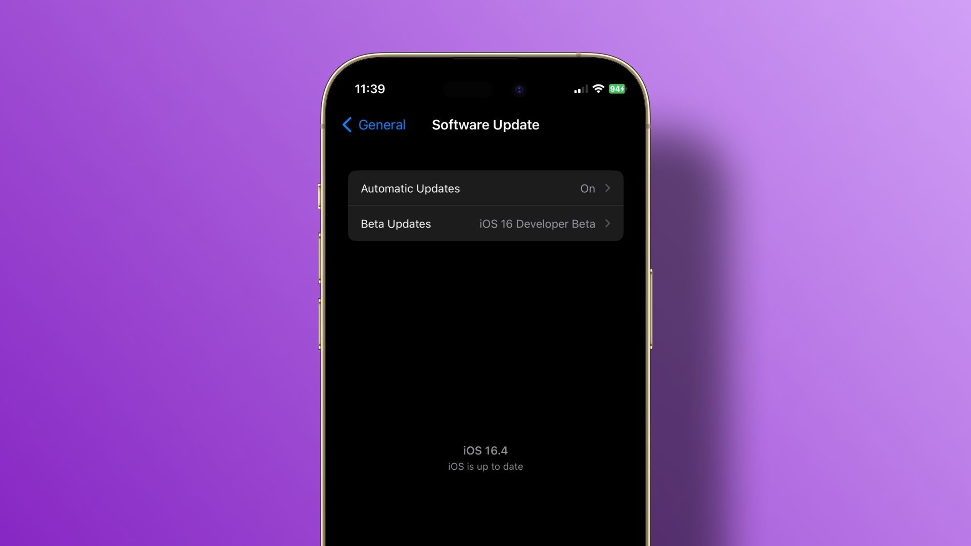 How to Turn on iOS Beta updates with iOS 16.4 or later | appsntips