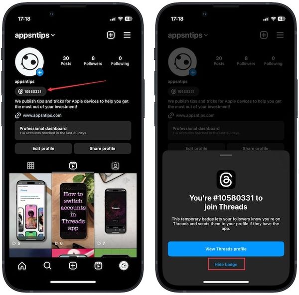 How to Hide Your Threads Badge from Instagram Profile | appsntips